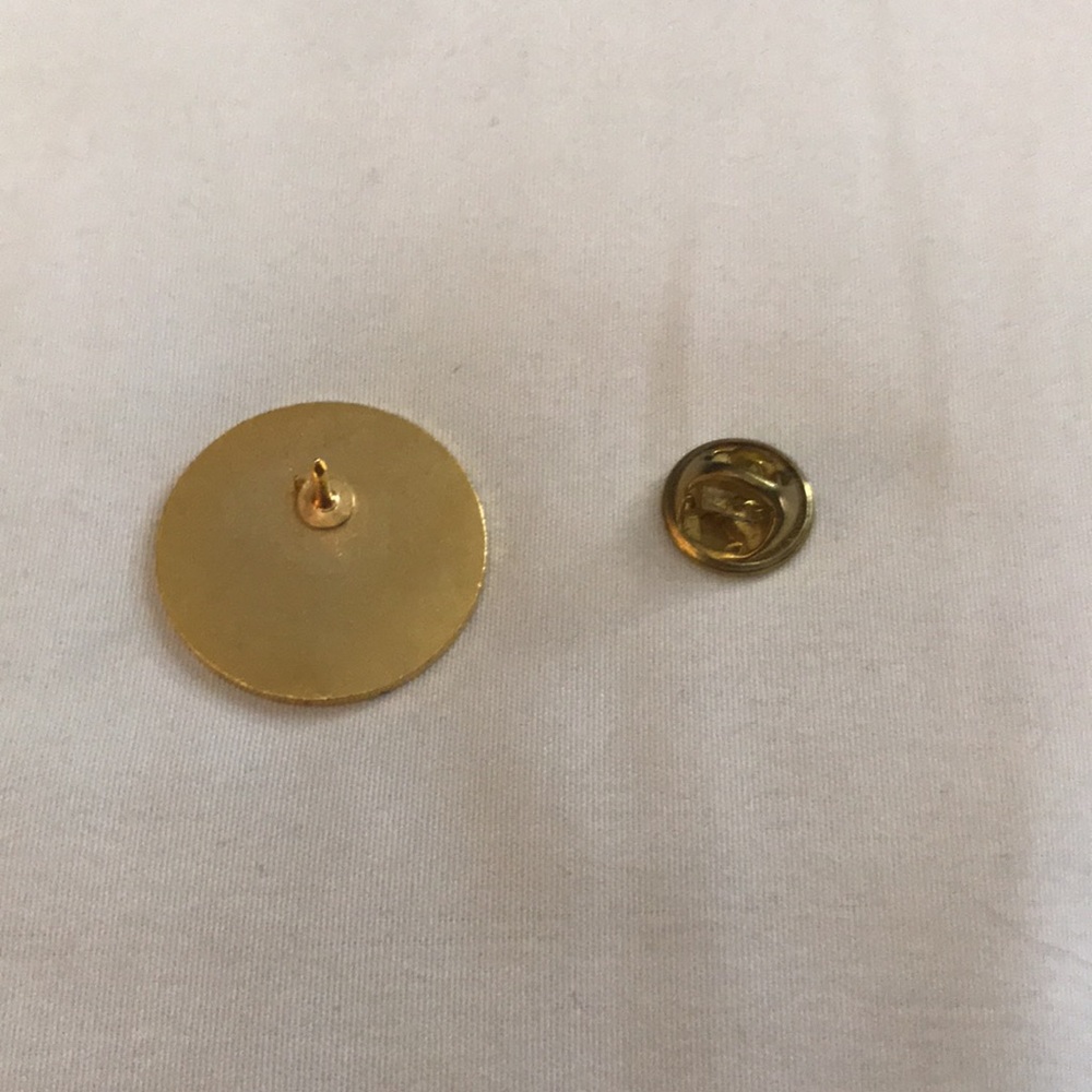 Final Price Vintage School Nursing 100 Years Pin/Broo… - Gem